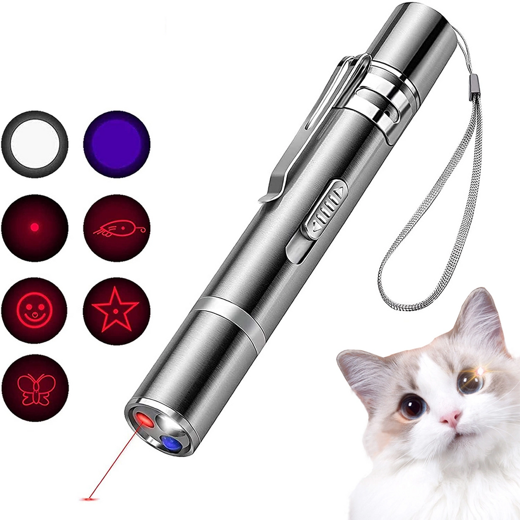 Pet Training Exercise Tool Cat Toys LED Pointer – HOMESHOP